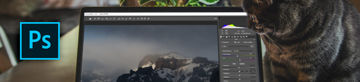 TOP 45 BEST CAMERA RAW PRESETS FREE DOWNLOAD 2023 SARKAR EDITZ