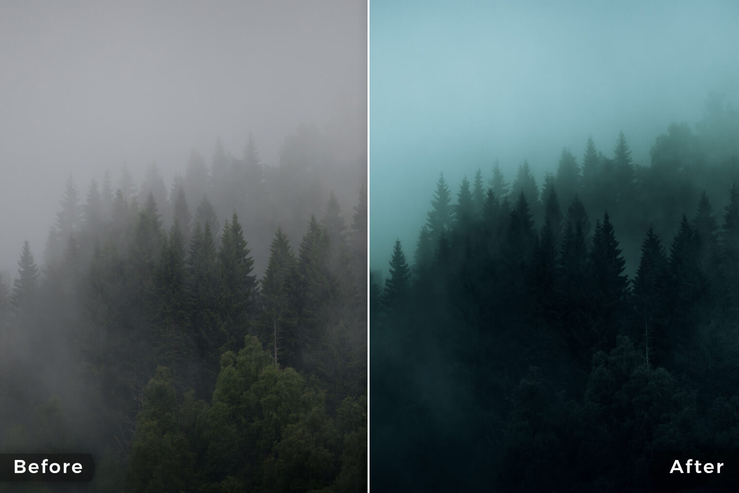 Dark & Dramatic Lightroom Presets | Desktop & Mobile (DNG)